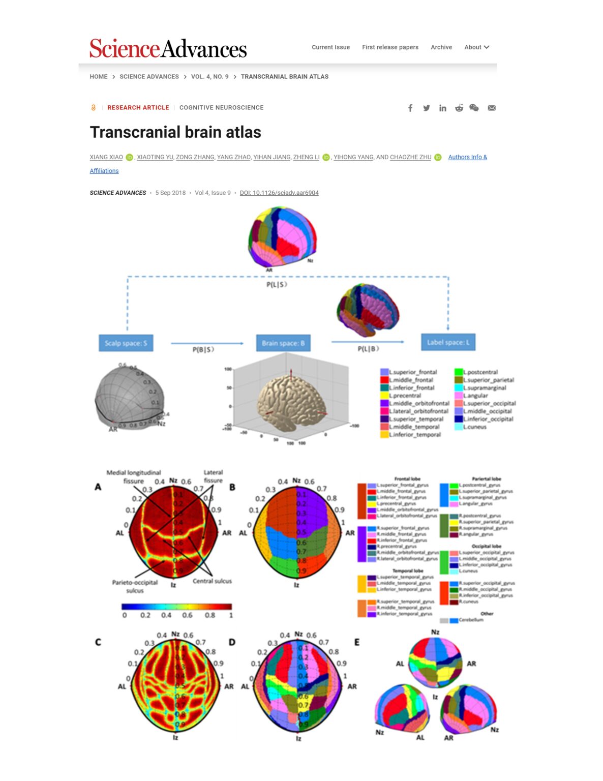 Transcranial Brain Atlas