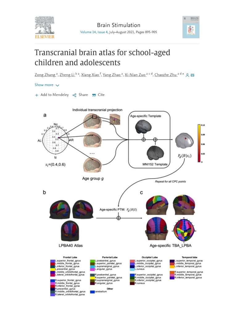 Transcranial Brain Atlas