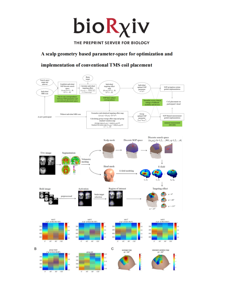 Transcranial Brain Atlas