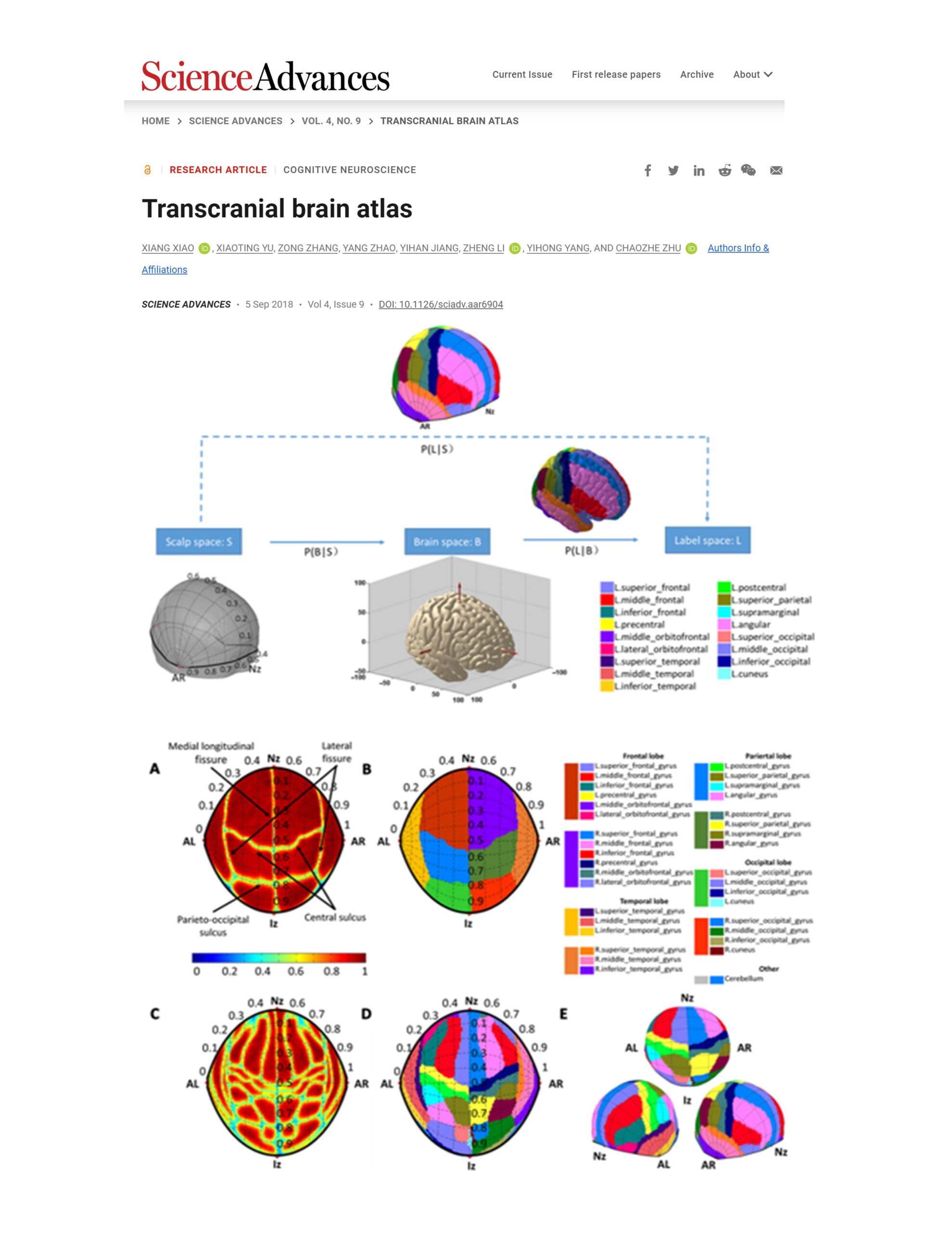 Transcranial Brain Atlas