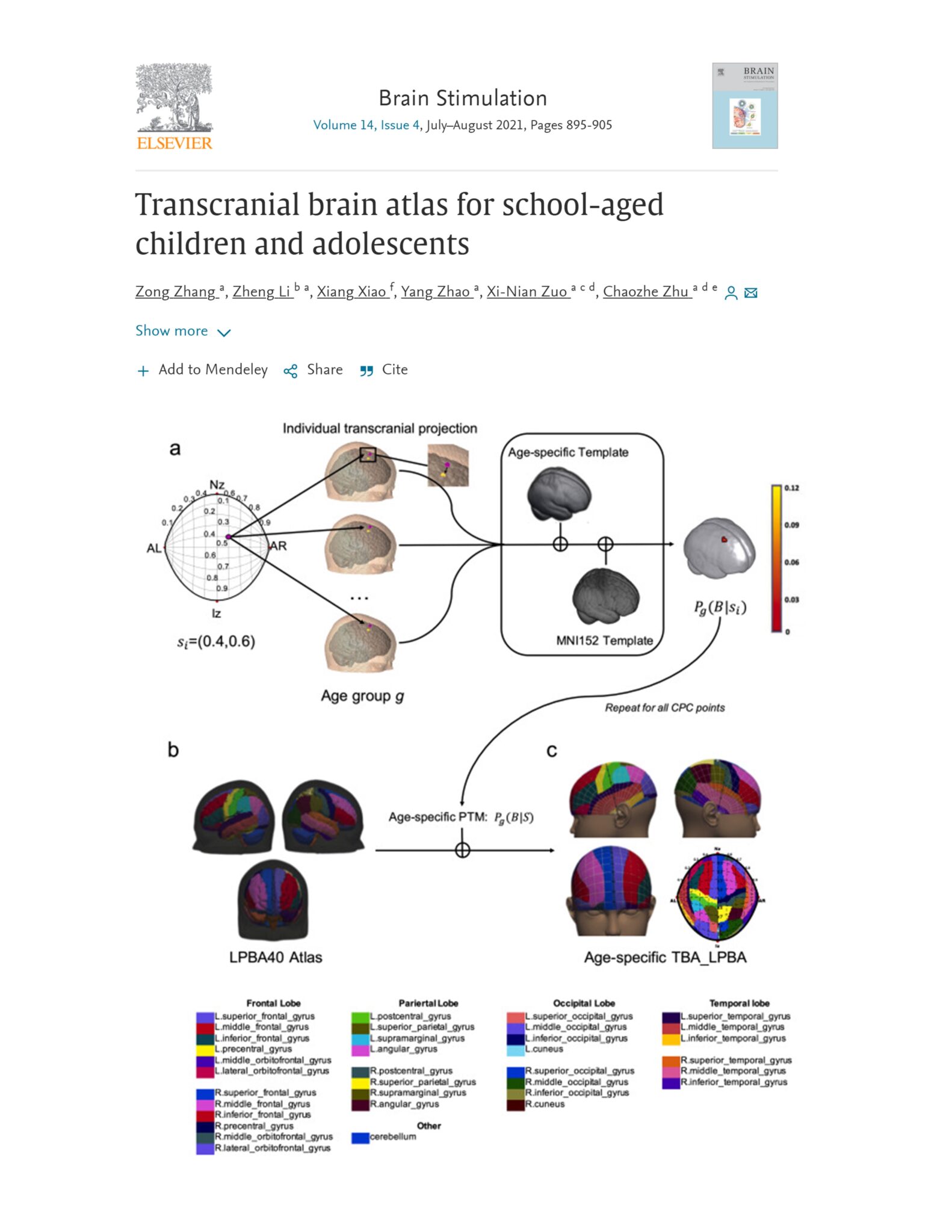 Transcranial Brain Atlas